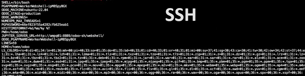 Utilizando SSH para conectarse a una base de datos Postgres en Odoo.sh | Hermec Consulting